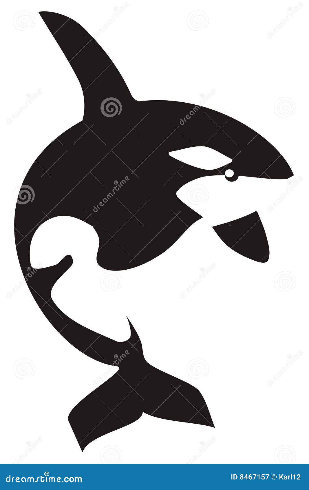 Killer Whale stock vector. Illustration of wild, world - 8467157
