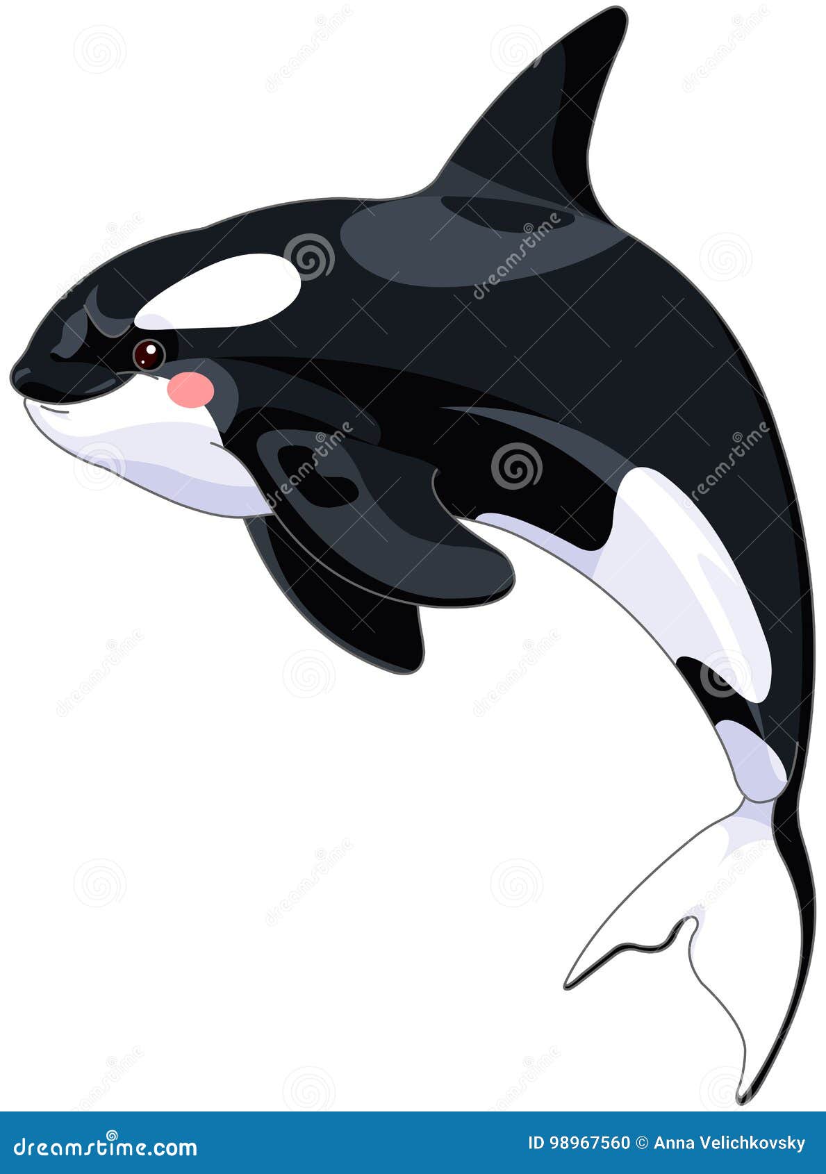 Killer Whale stock vector. Illustration of wild, cheerful - 98967560