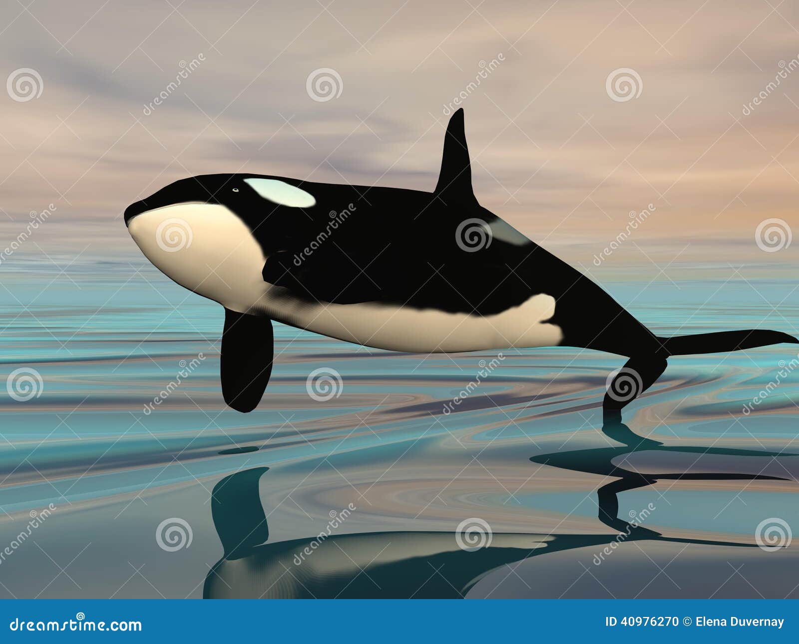 Killer Whale Jump - 3D Render Stock Illustration - Illustration of ...
