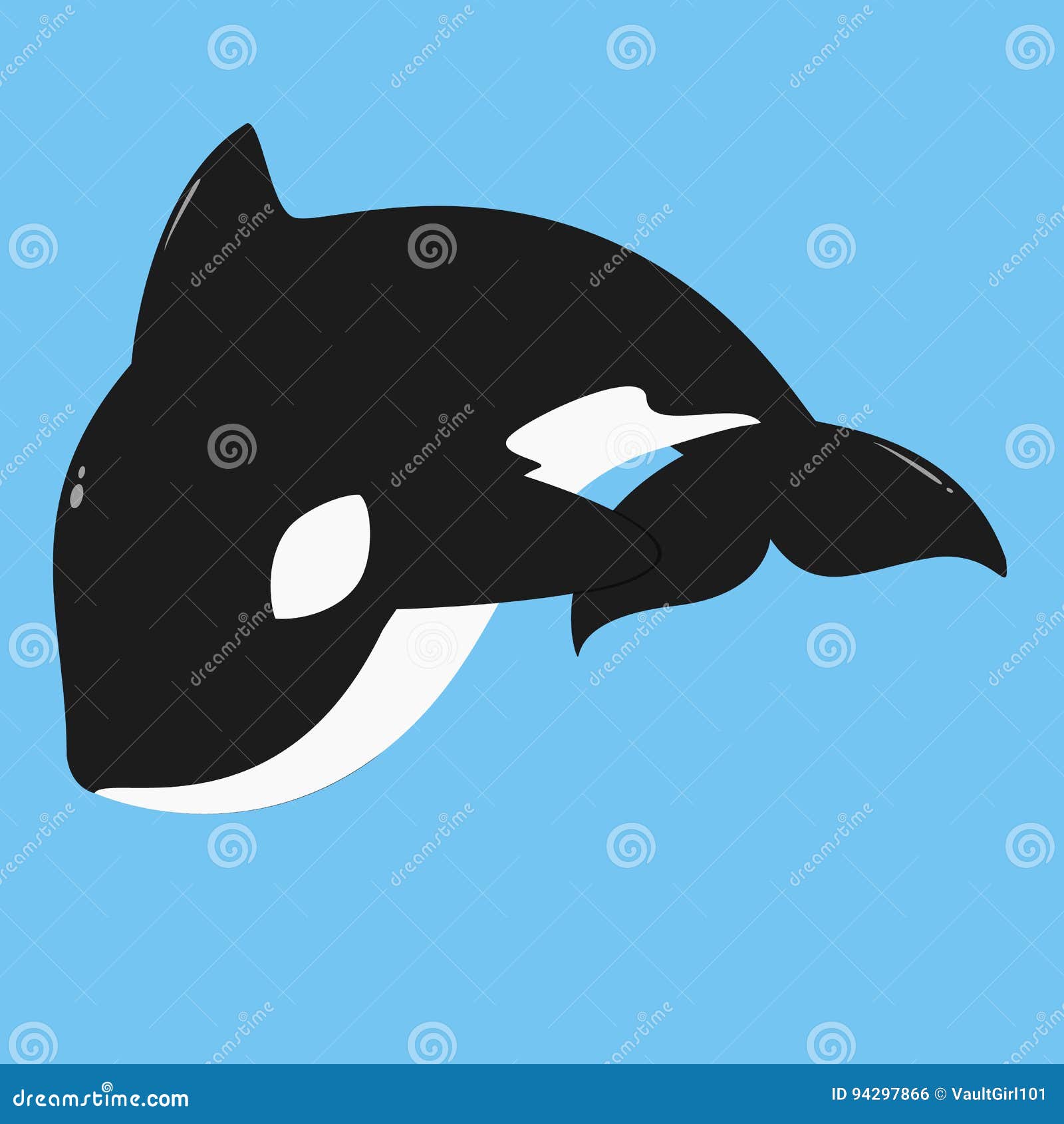 Killer Whale, Orca Vector stock vector. Illustration of agressive ...