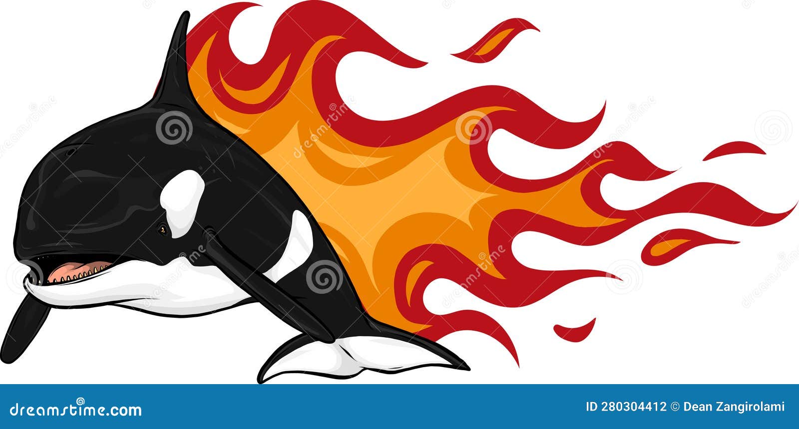 Killer Whale or Orca Vector Illustration Design Stock Vector ...