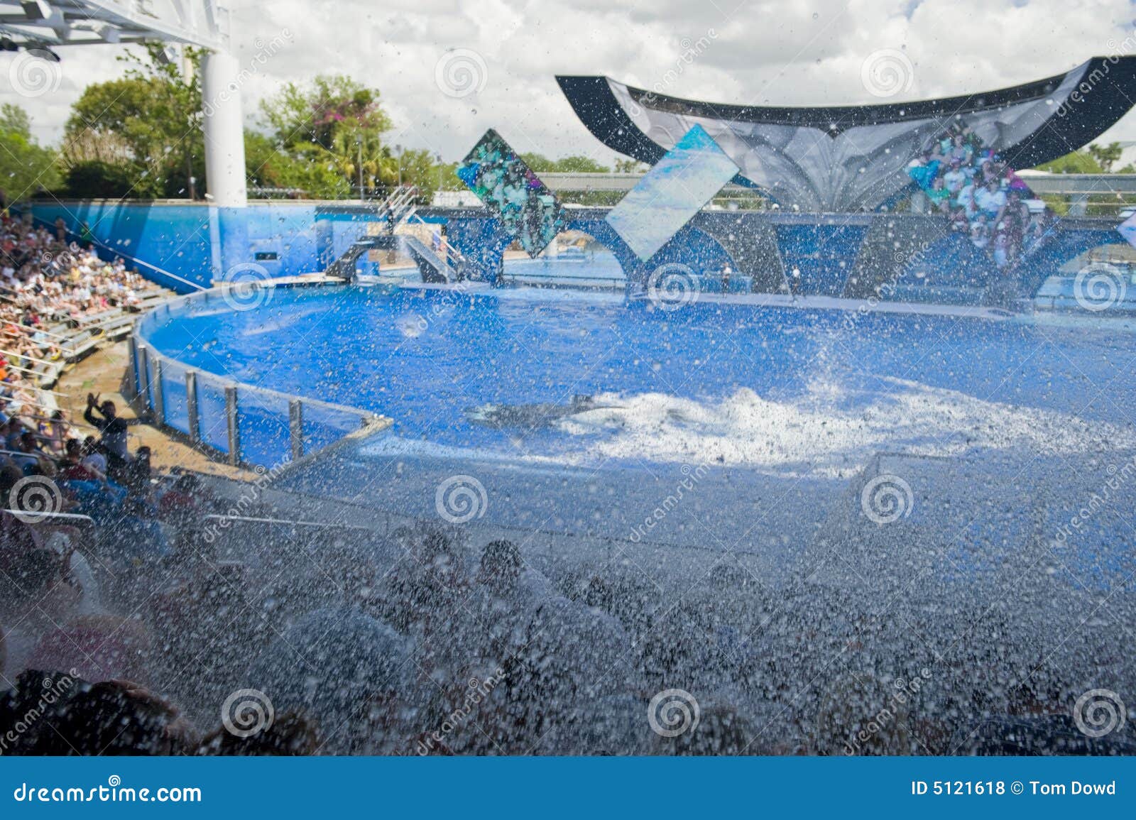 Killer Whale Splash editorial stock photo. Image of water - 5121618
