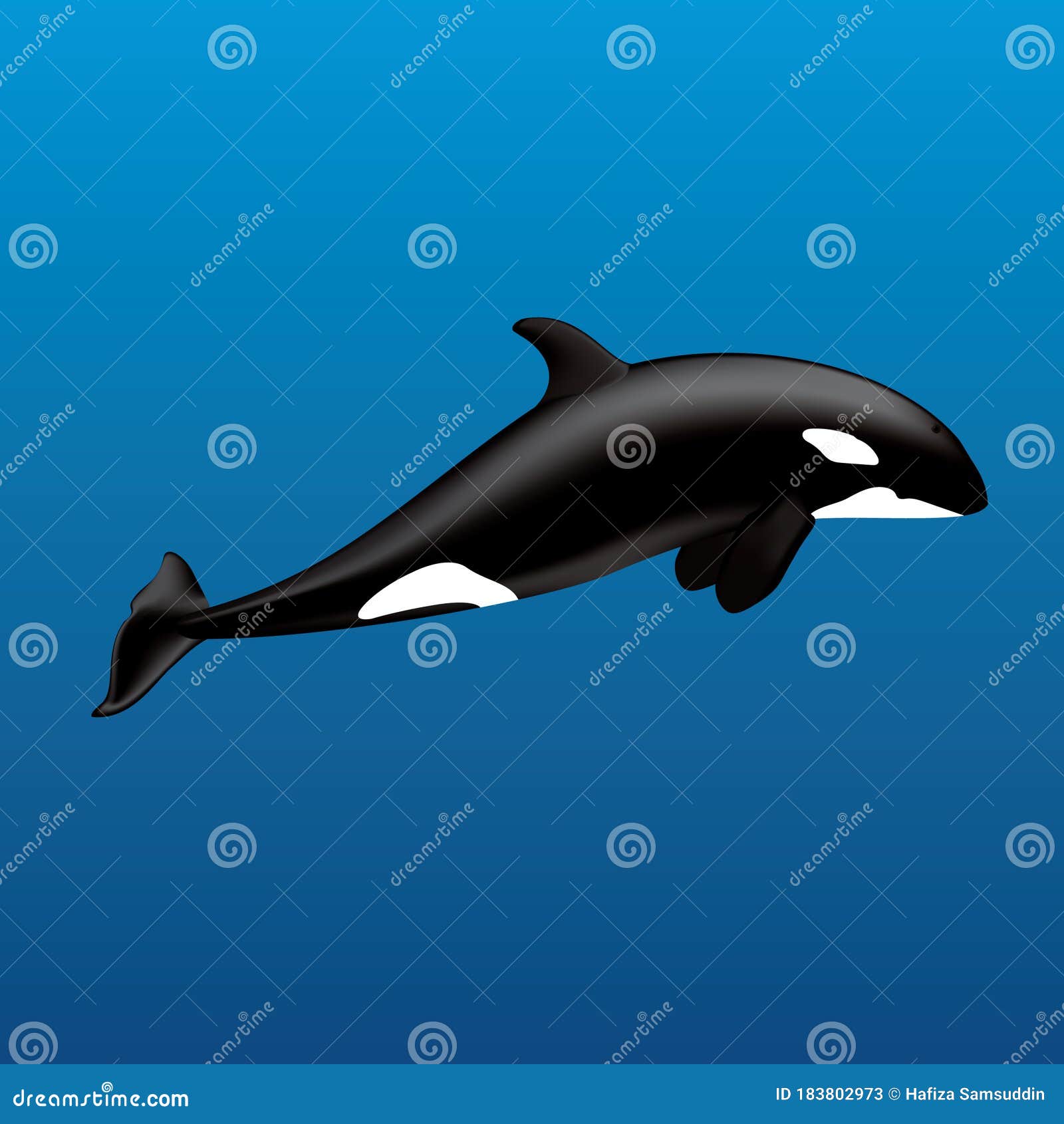 Killer Whale. Vector Illustration Decorative Background Design Stock ...