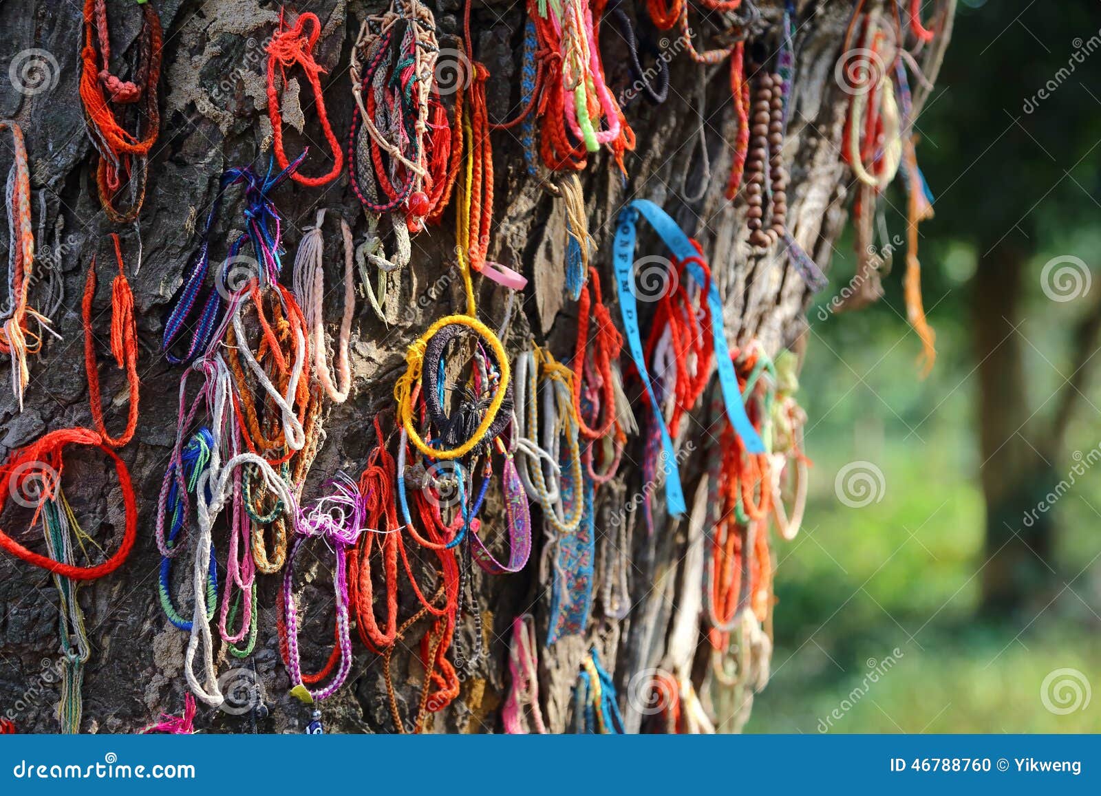 Killing Fields Mass Grave, Phnom Penh, Cambodia Stock Photo - Image of ...