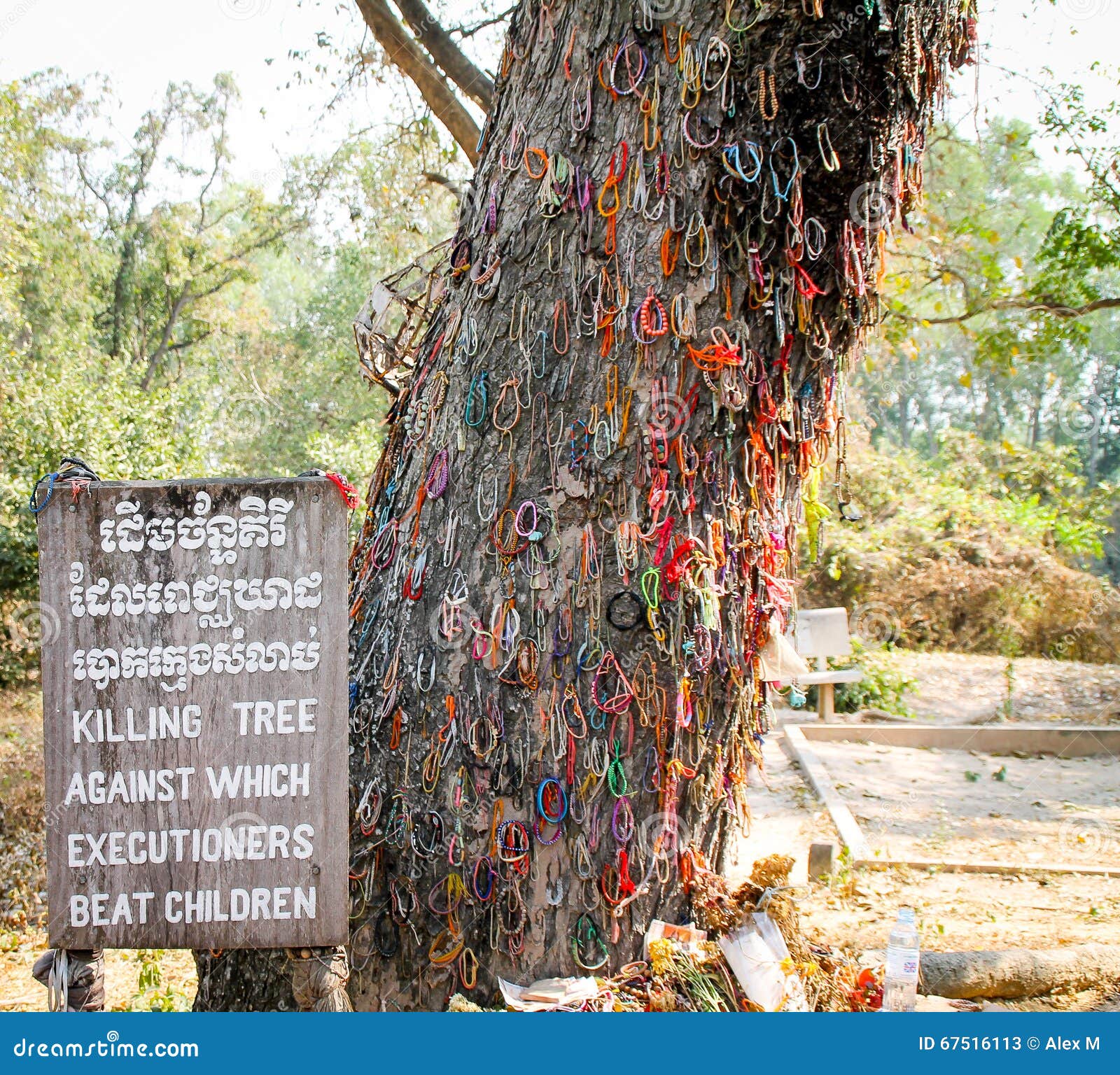 Killing Tree Phnom Penh Cambodia Khmer Rouge Pol Pot Royalty-Free Stock ...