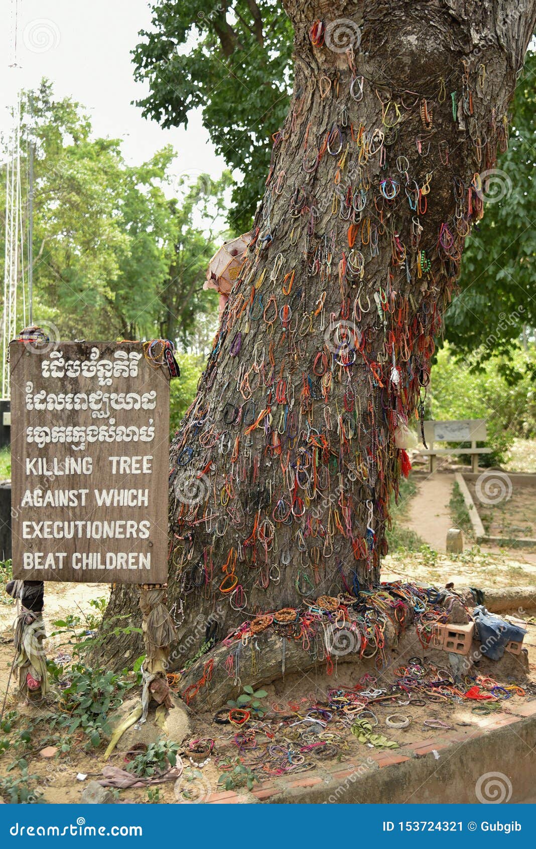 Killing Tree Killing Fields Cambodia Editorial Photo 78586527