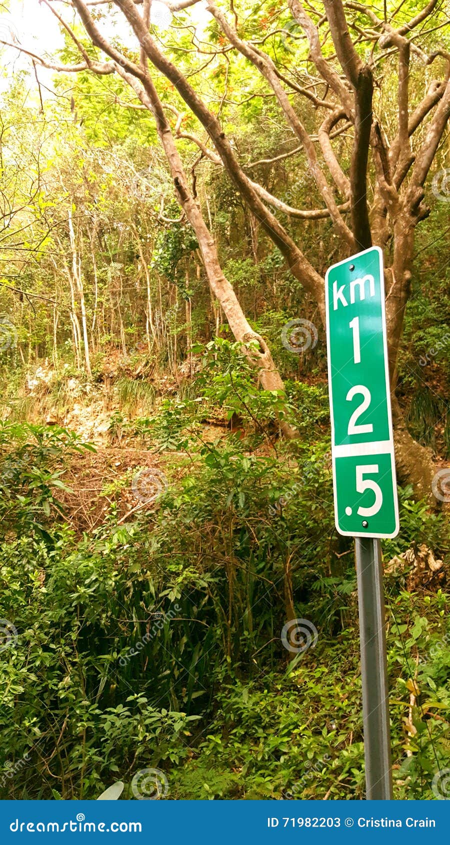 Kilometer Marker in the Jungle Stock Image - Image of green, jungle ...