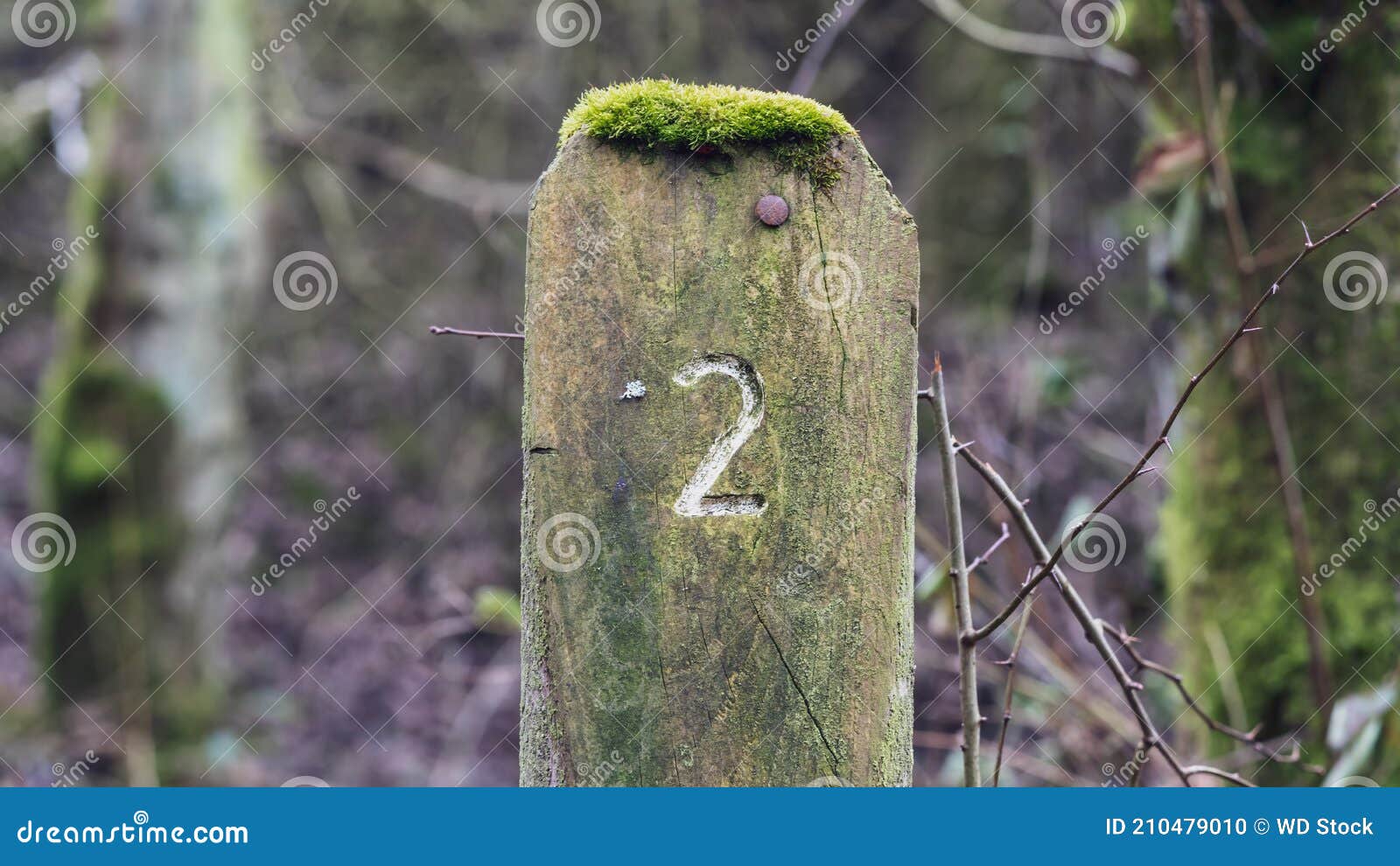 2-kilometer Marker Post in a Forest Stock Photo - Image of grass, stump ...
