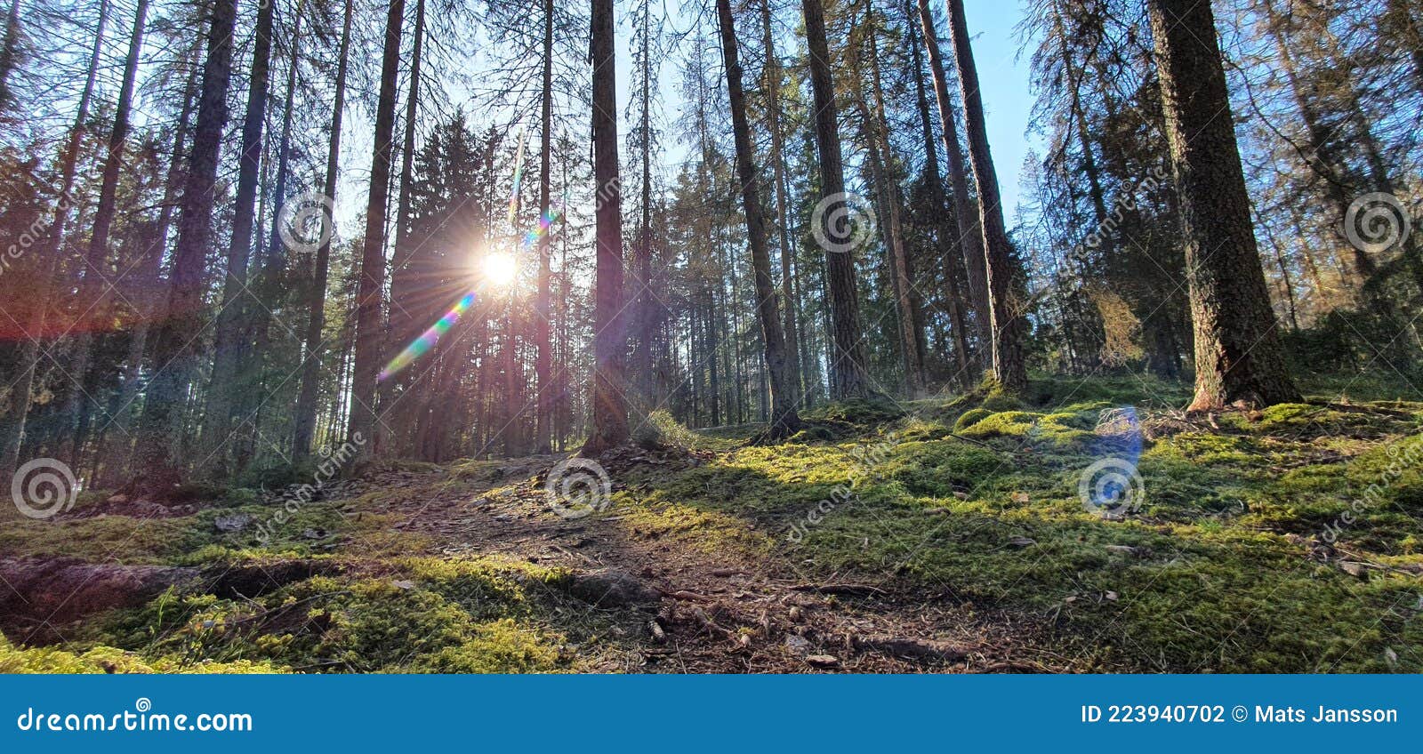Kilsbergen stock photo. Image of nature, sweden, trail - 223940702