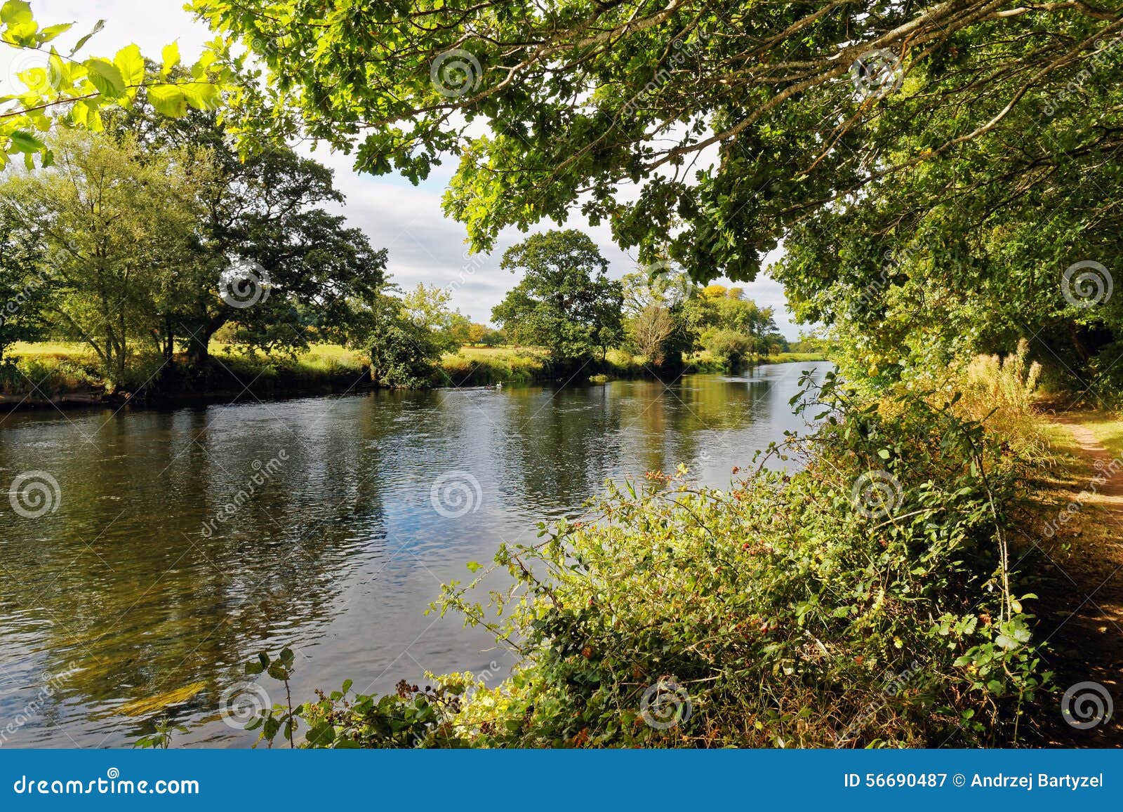 Kilsheelan.River Suir stock image. Image of river, canoeing - 56690487