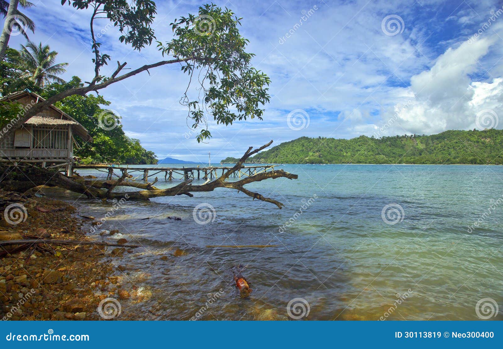 Kiluan bay stock image. Image of forest, water, afternoon - 30113819