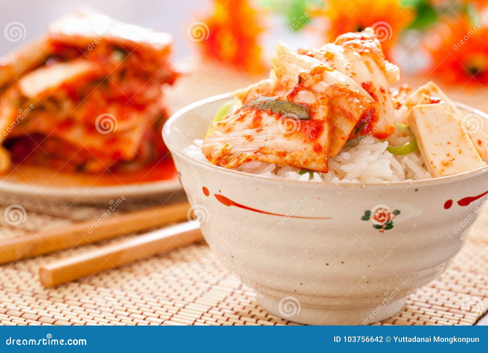 Kimchi foto de archivo. Imagen de comida, tradicional - 103756642