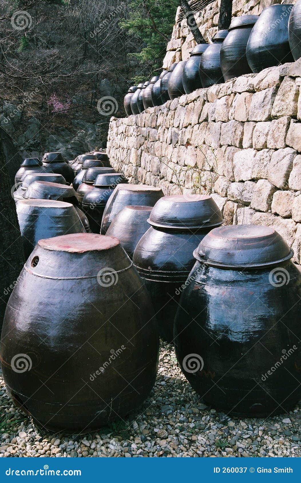 Kimchi pots stock image. Image of pots, storage, spicy - 260037