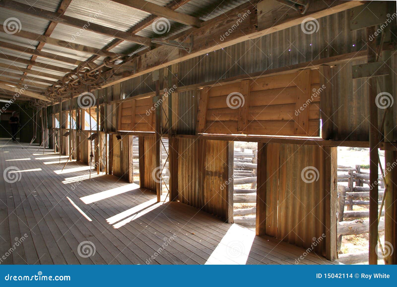 Kinchega Wool shed. stock photo. Image of sheep, park - 15042114