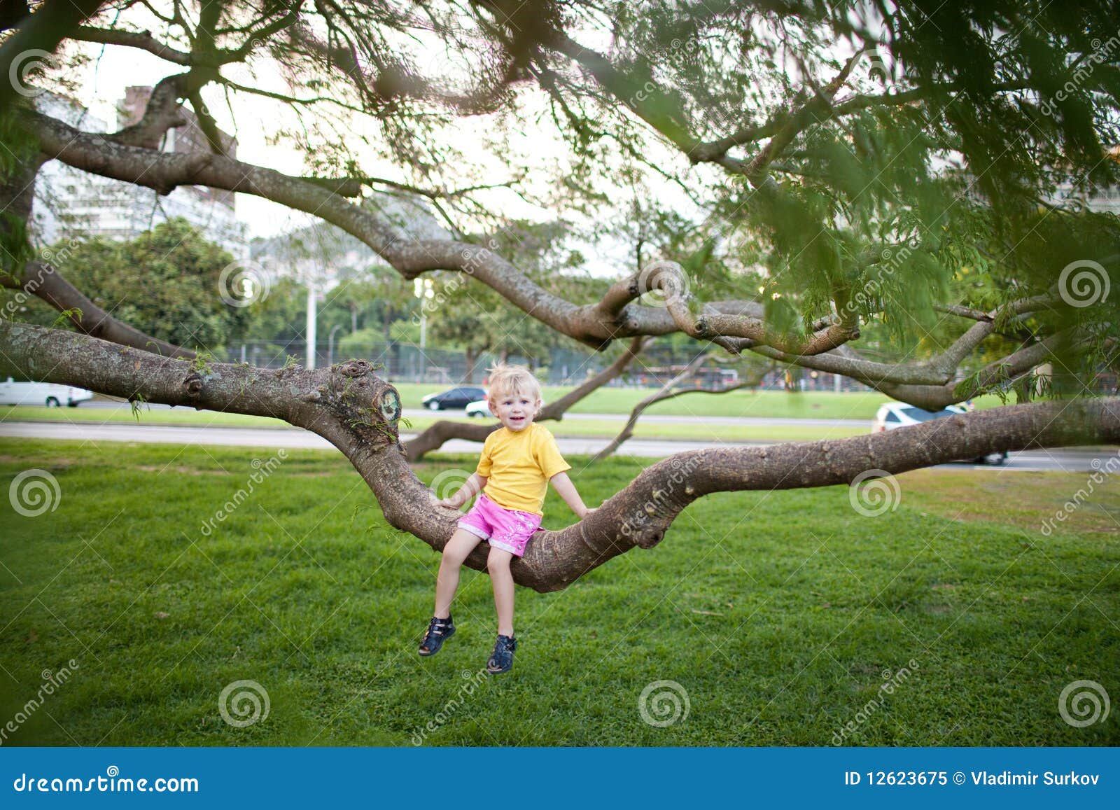 Kind auf dem Baum stockbild. Bild von mädchen, brunch - 12623675