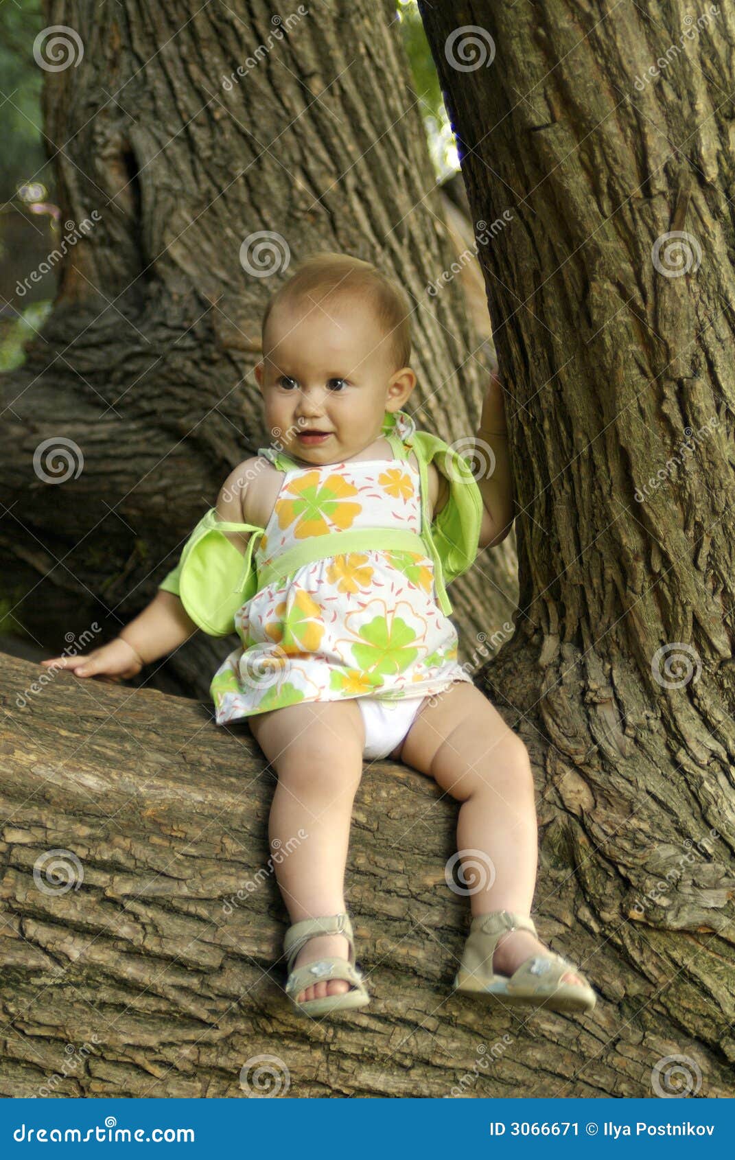 Kind auf einem Baum stockbild. Bild von leute, frauen - 3066671