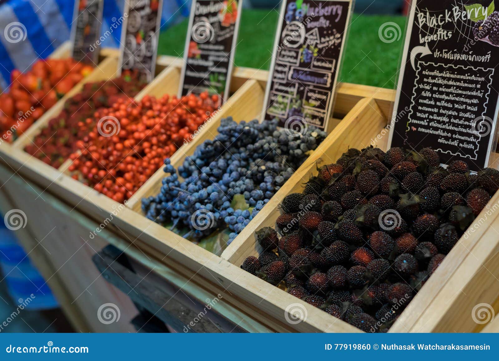 Kind of berry,Mix berries stock photo. Image of healthy - 77919860