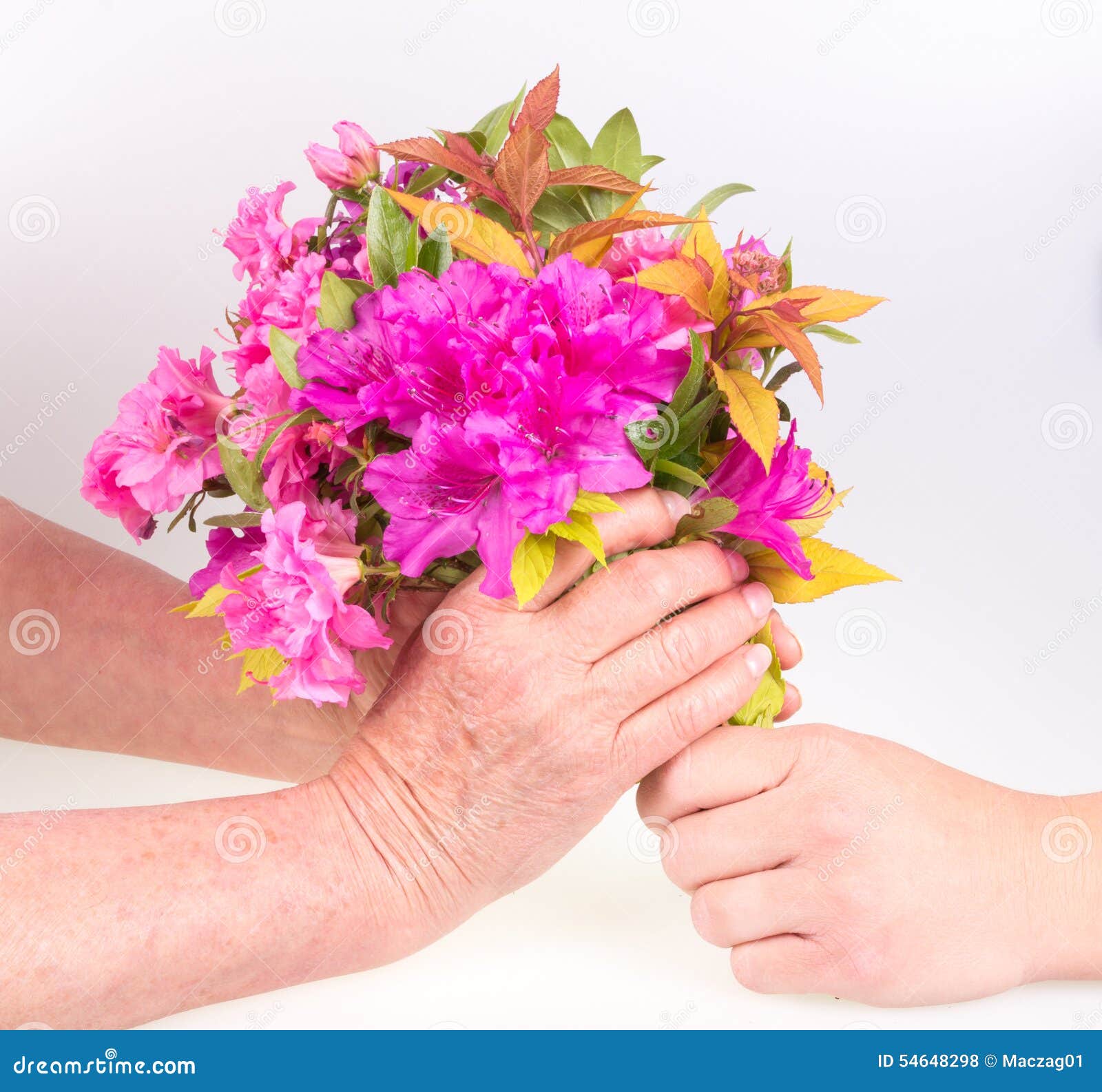 Kind, das Blume gibt stockfoto. Bild von nett, geben - 54648298
