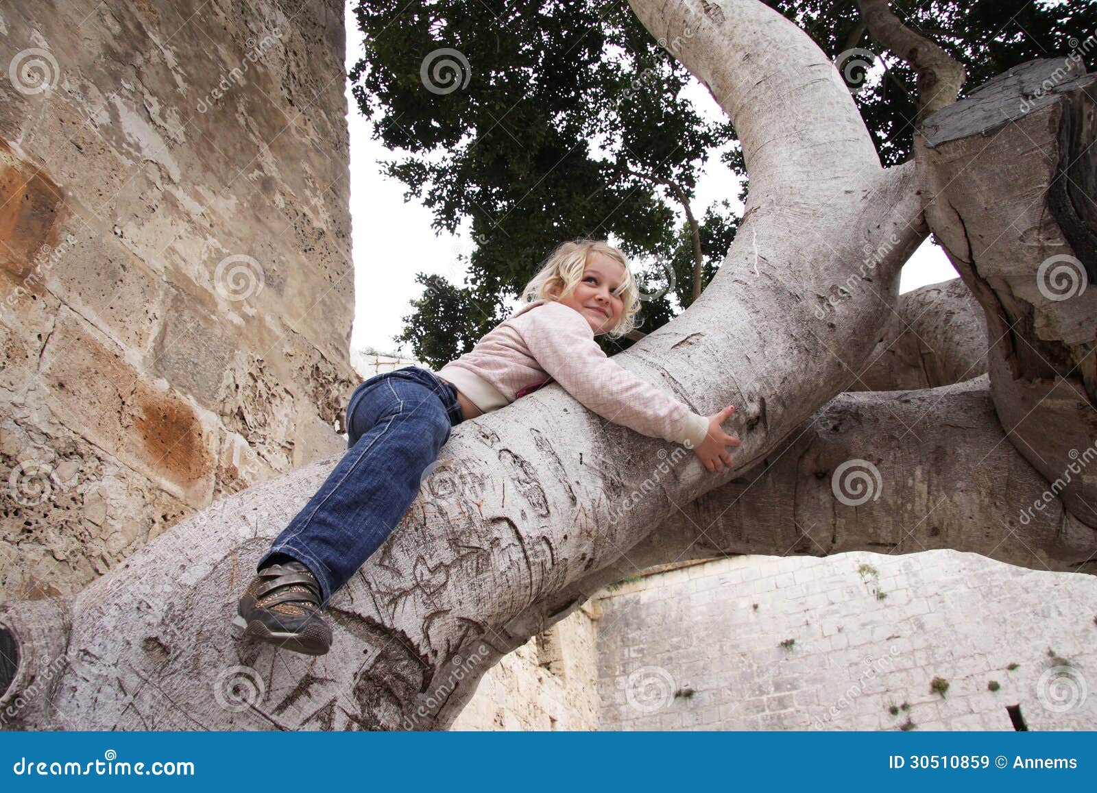 Kind, Das Einen Baum Klettert Stockbild - Bild von steigen, lächeln ...
