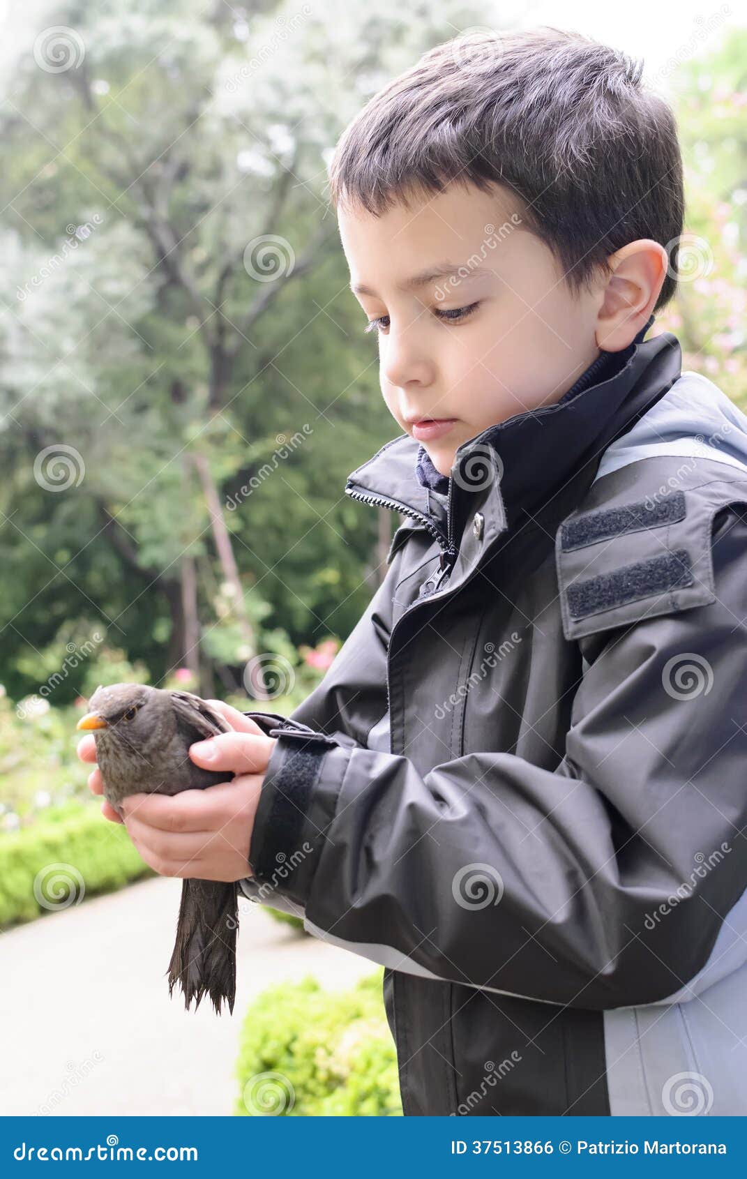 Kind, das Vogel hält stockfoto. Bild von junge, winter - 37513866