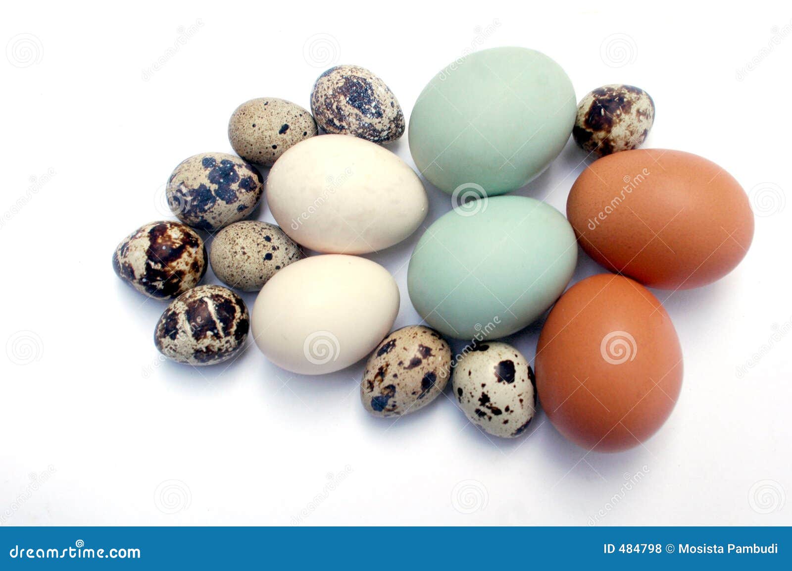 Kind of eggs stock photo. Image of easter, health, healthy - 484798 Kind of eggs stock photo. Image of easter, health, healthy - 484798