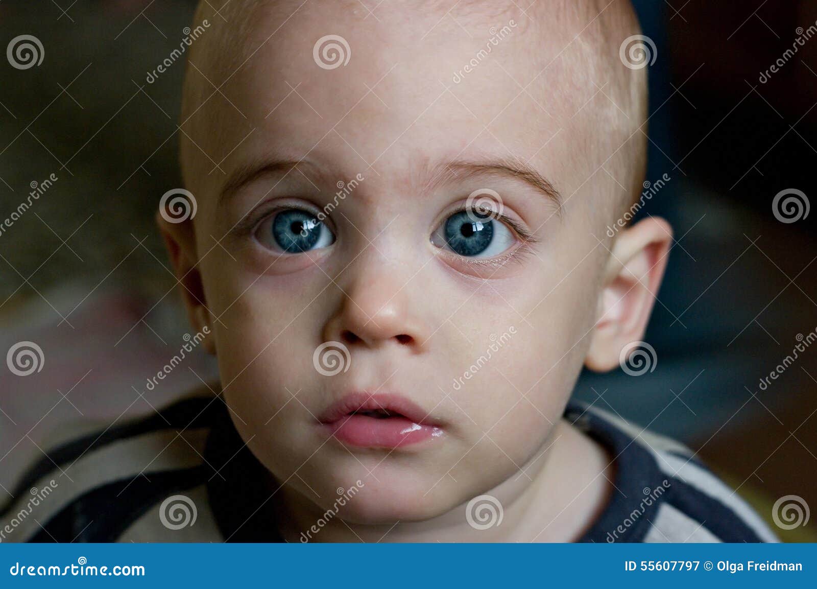 Kind met grijs-blauwe ogen stock afbeelding. Image of jongen - 55607797