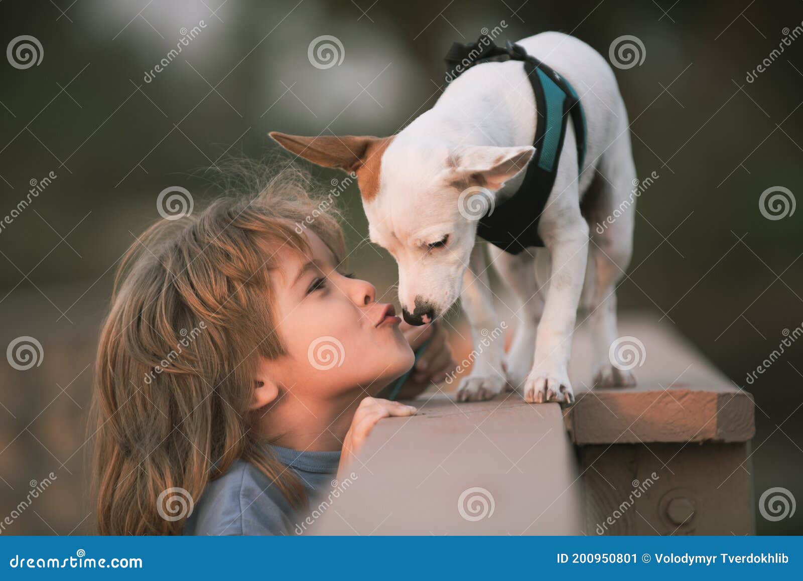 Kind Omarmt Liefdevol En Kussen Zijn Hond. Stock Afbeelding - Image of ...