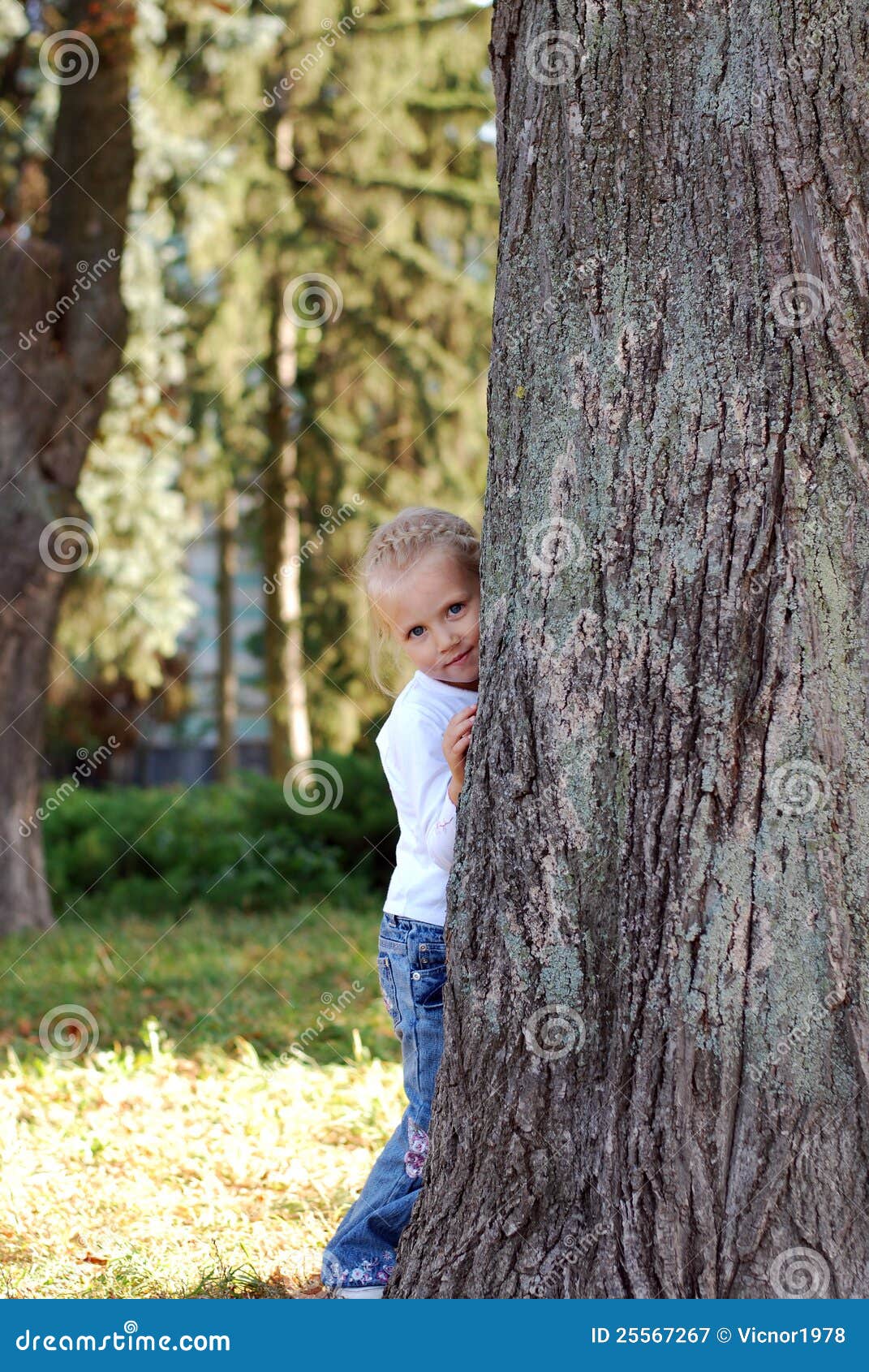 Kind Versteckte Sich Hinter Einem Baum Im Sommerpark Stockbild - Bild ...