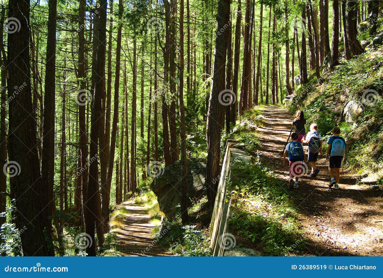 Kinder, die in Berg gehen stockbild. Bild von trekking - 26389519