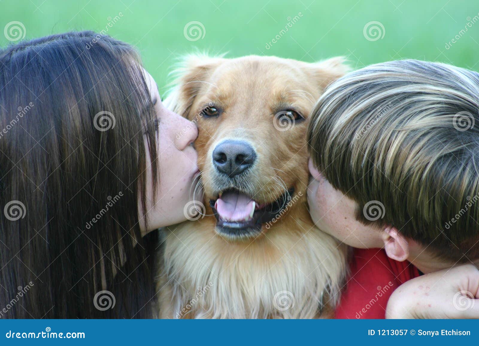 Kinder, die Hund küssen stockbild. Bild von familie, paare - 1213057