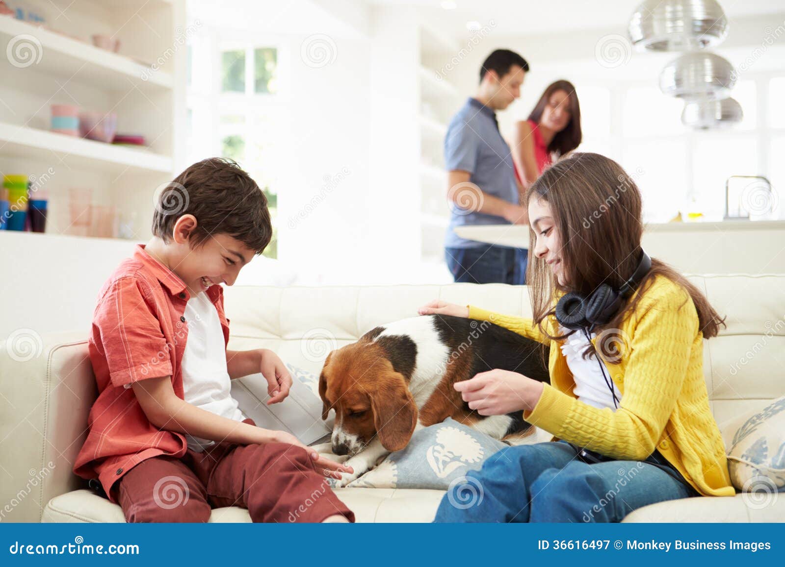 Kinder, Die Mit Hund Auf Sofa Spielen Stockbild - Bild von spürhund ...
