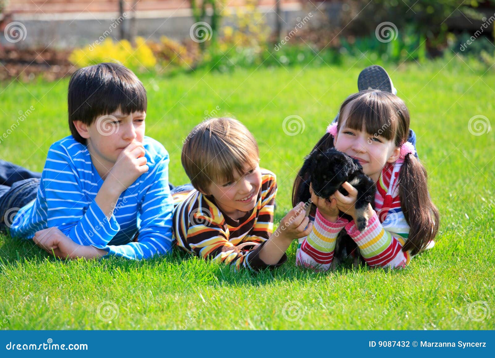 Kinder, Die Mit Hund Spielen Stockfoto - Bild von draussen, spielen ...