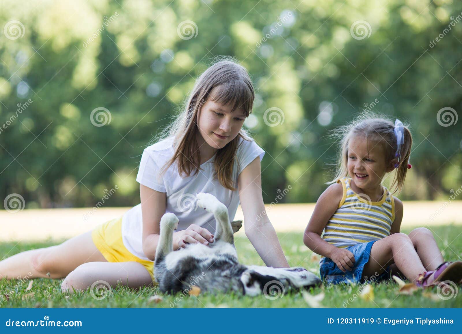 Kinder mit einem Hund stockbild. Bild von feld, garten - 120311919