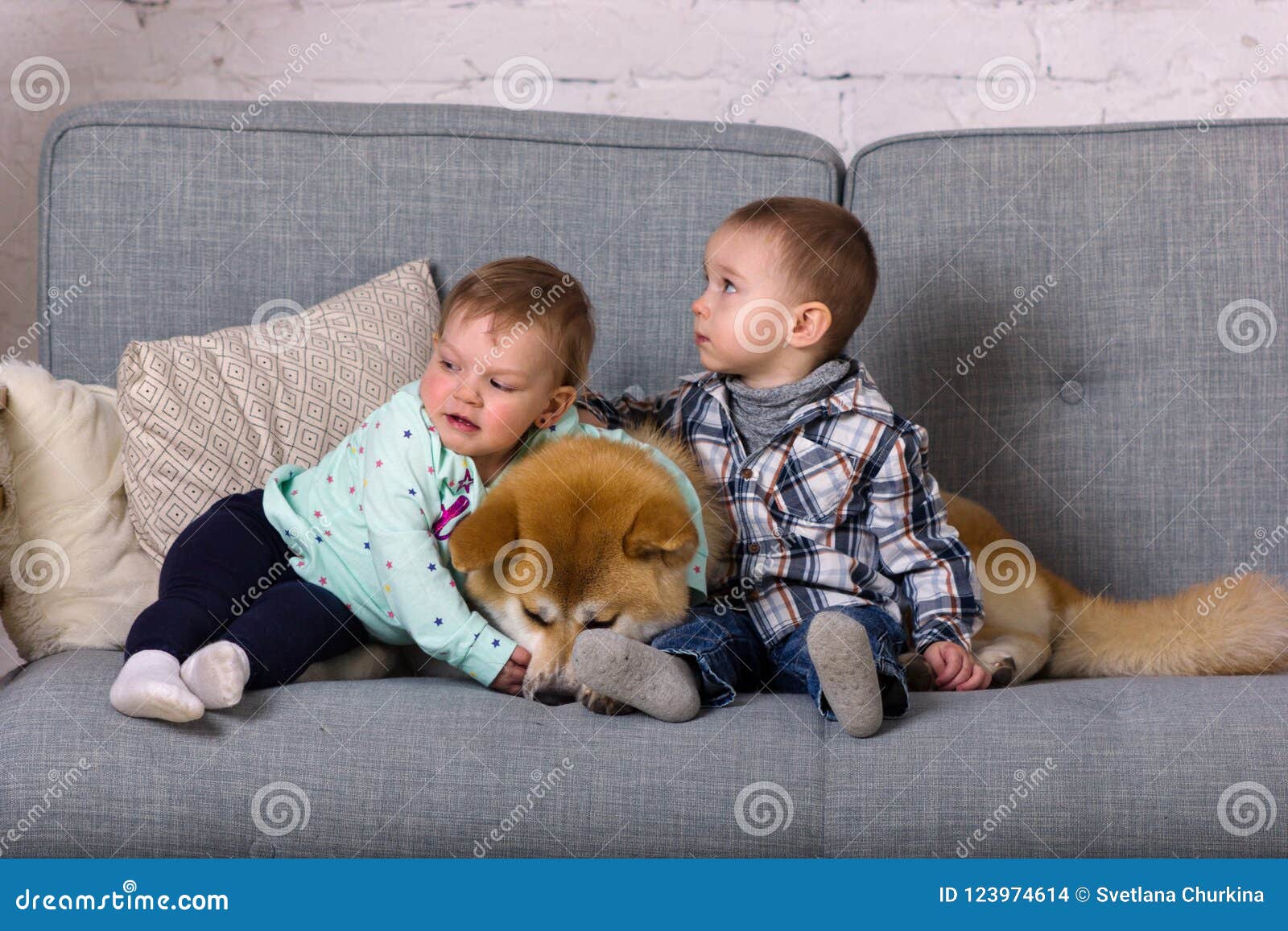 Kinder mit Hund stockfoto. Bild von fokus, junge, mädchen - 123974614