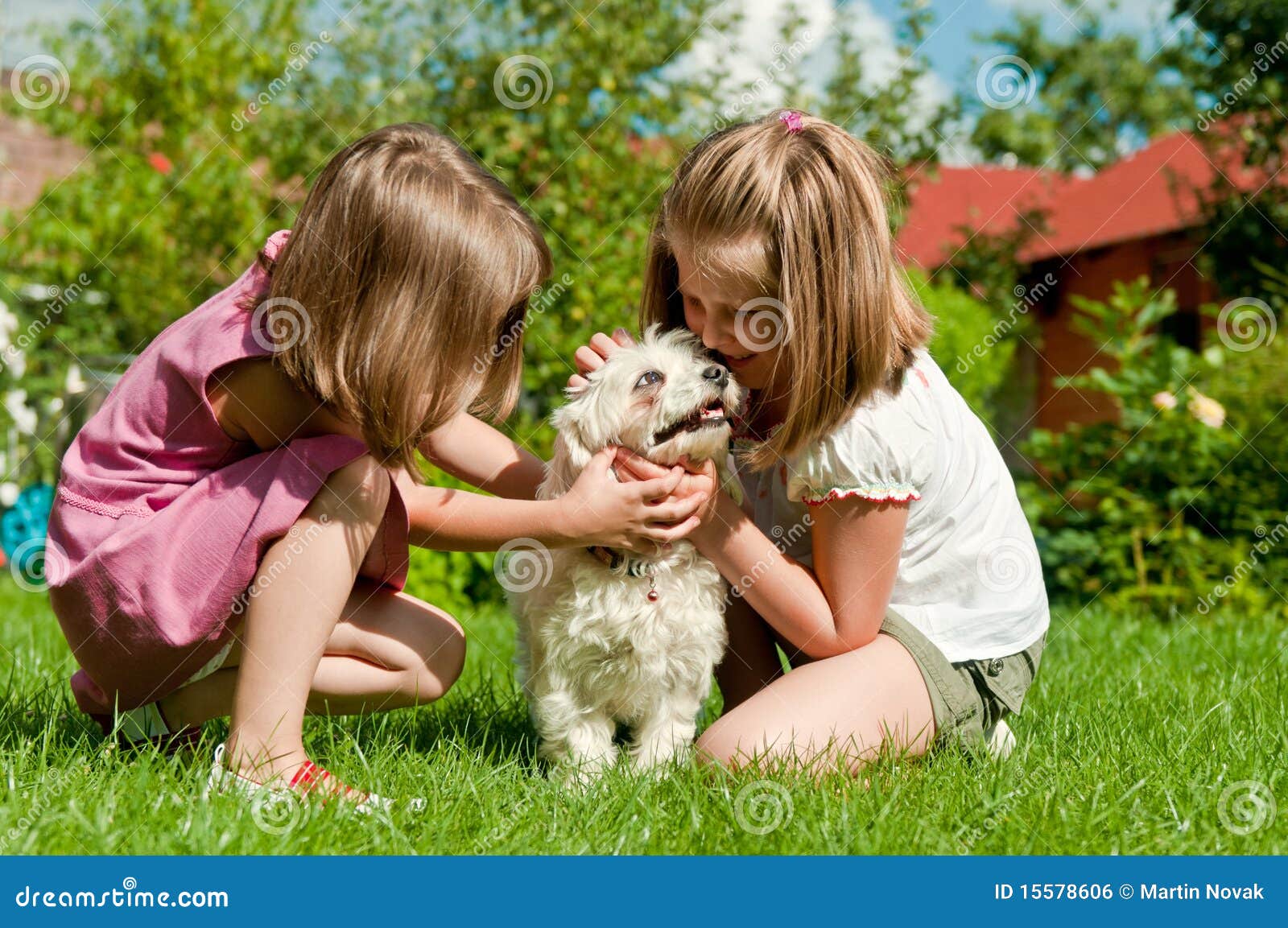 Kinder mit Hund stockfoto. Bild von spielerisch, freundschaft - 15578606