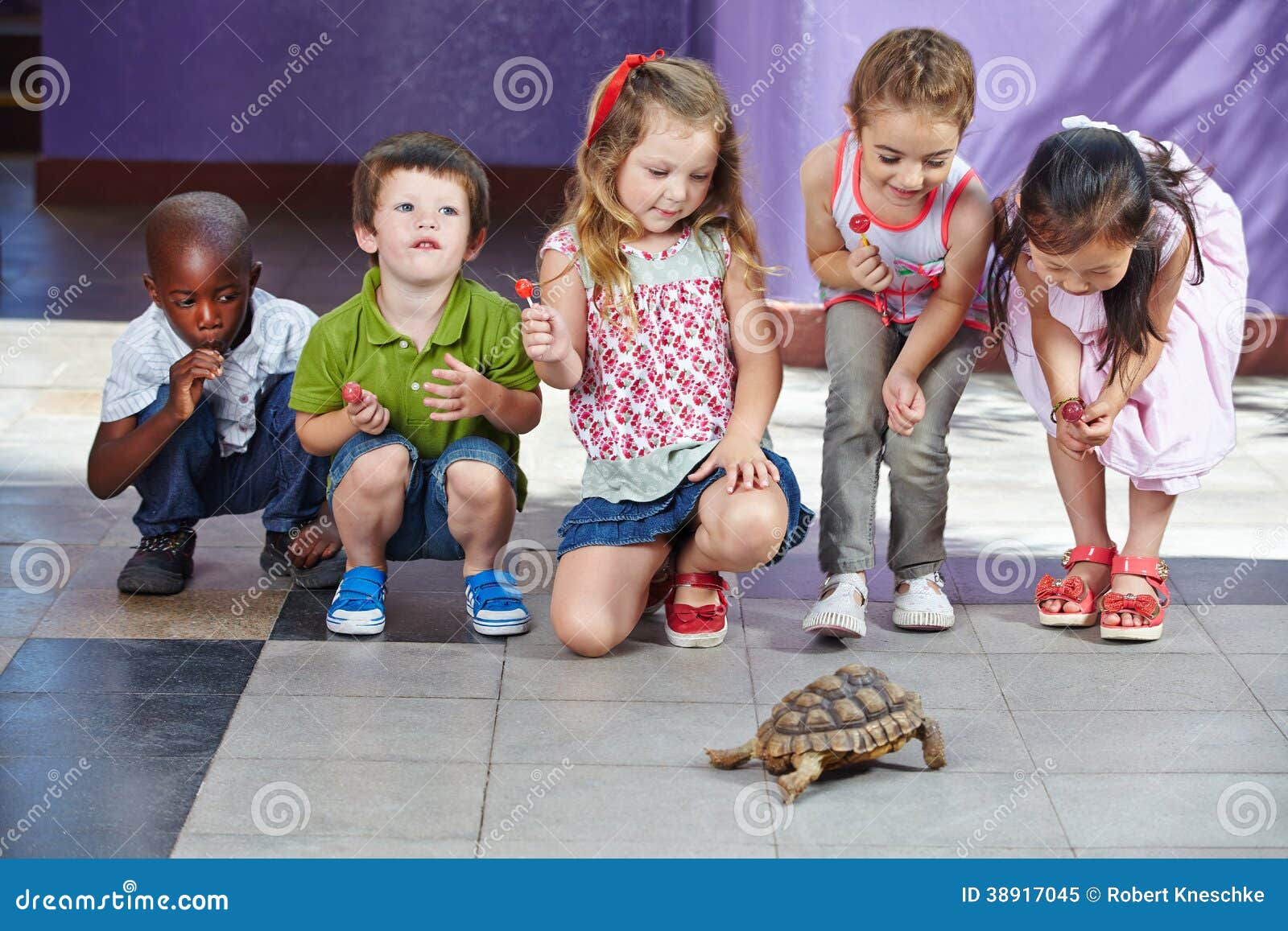 Kinder Mit Schildkröte Als Haustier Stockbild - Bild von ...