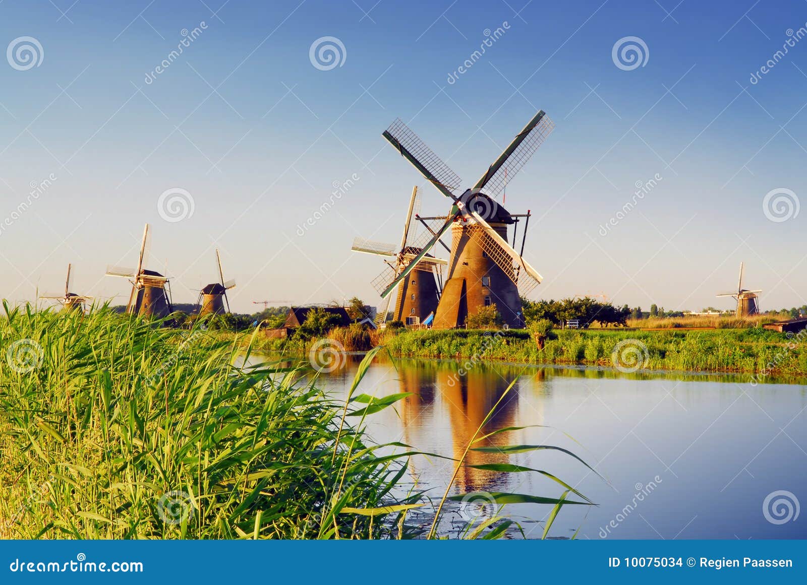 Kinderdijk 3 stock photo. Image of european, ecology - 10075034