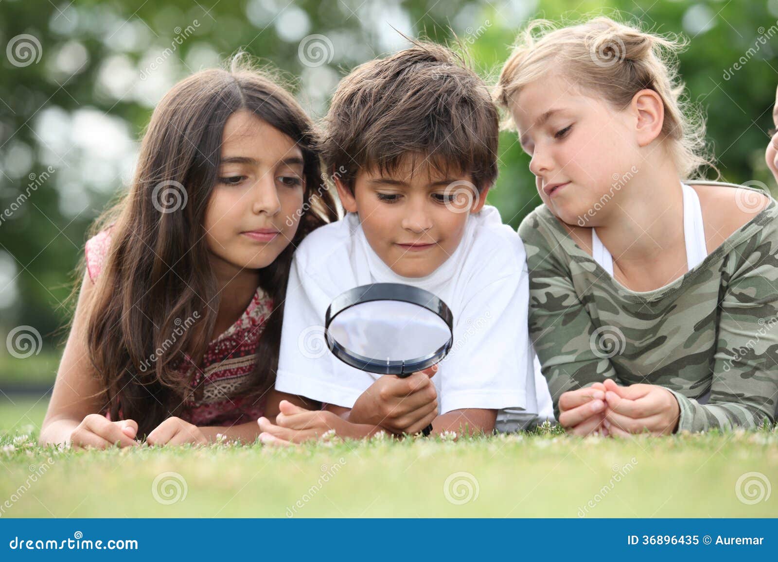 Kinderen Die Insecten Bekijken Stock Afbeelding - Image of gras ...