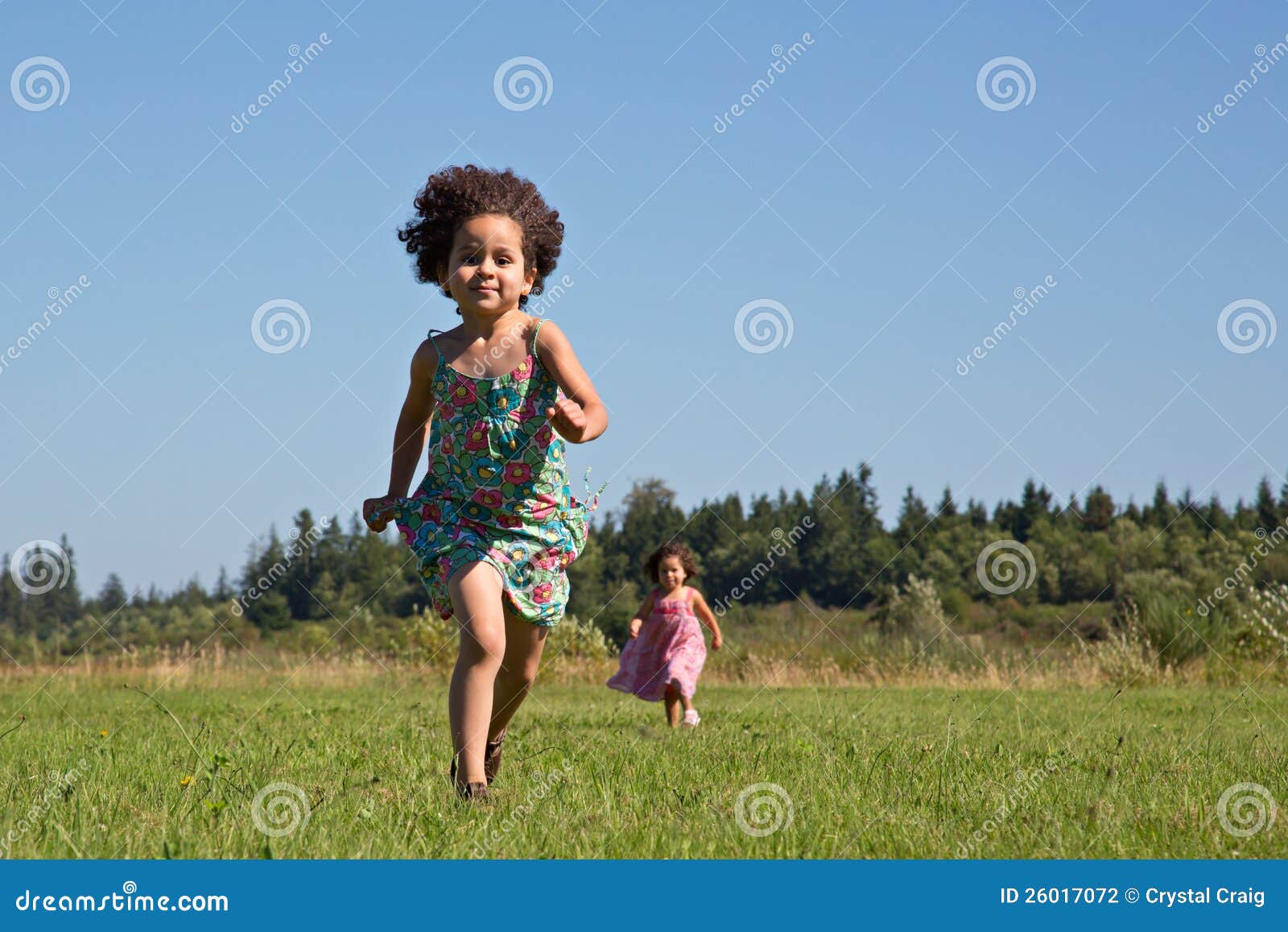 Kinderen Die Over Grasgebied Lopen Stock Foto - Image of gebied, afro ...