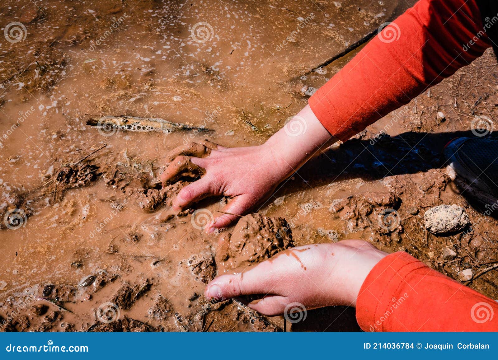 Kinderen Hebben Handen in Natte En Vieze Modder Stock Foto - Image of ...
