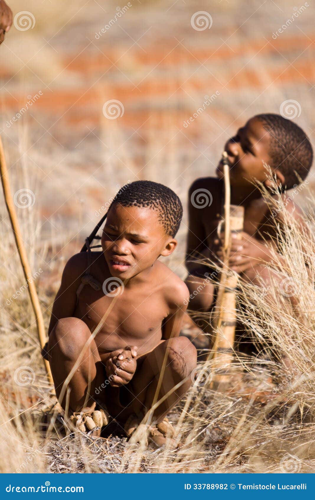 Kinderensan Bosjesman redactionele fotografie. Image of nomaden - 33788982