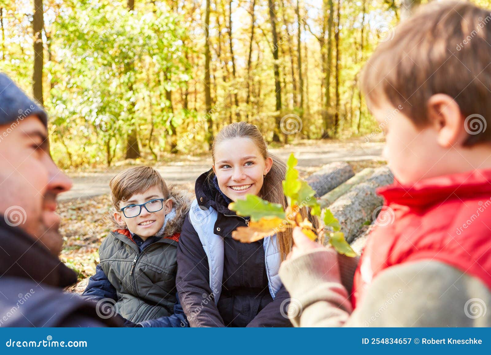 Kindergarten Children Learn Tree Science from the Forester Stock Image ...