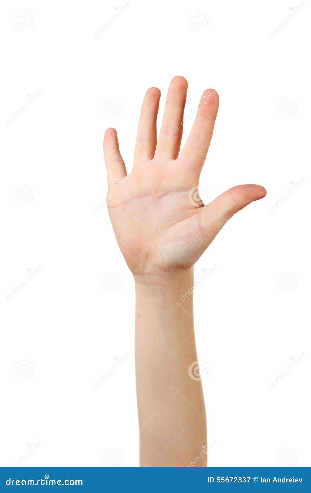 Kinderhand stockbild. Bild von mannschaft, geste, ideen - 55672337