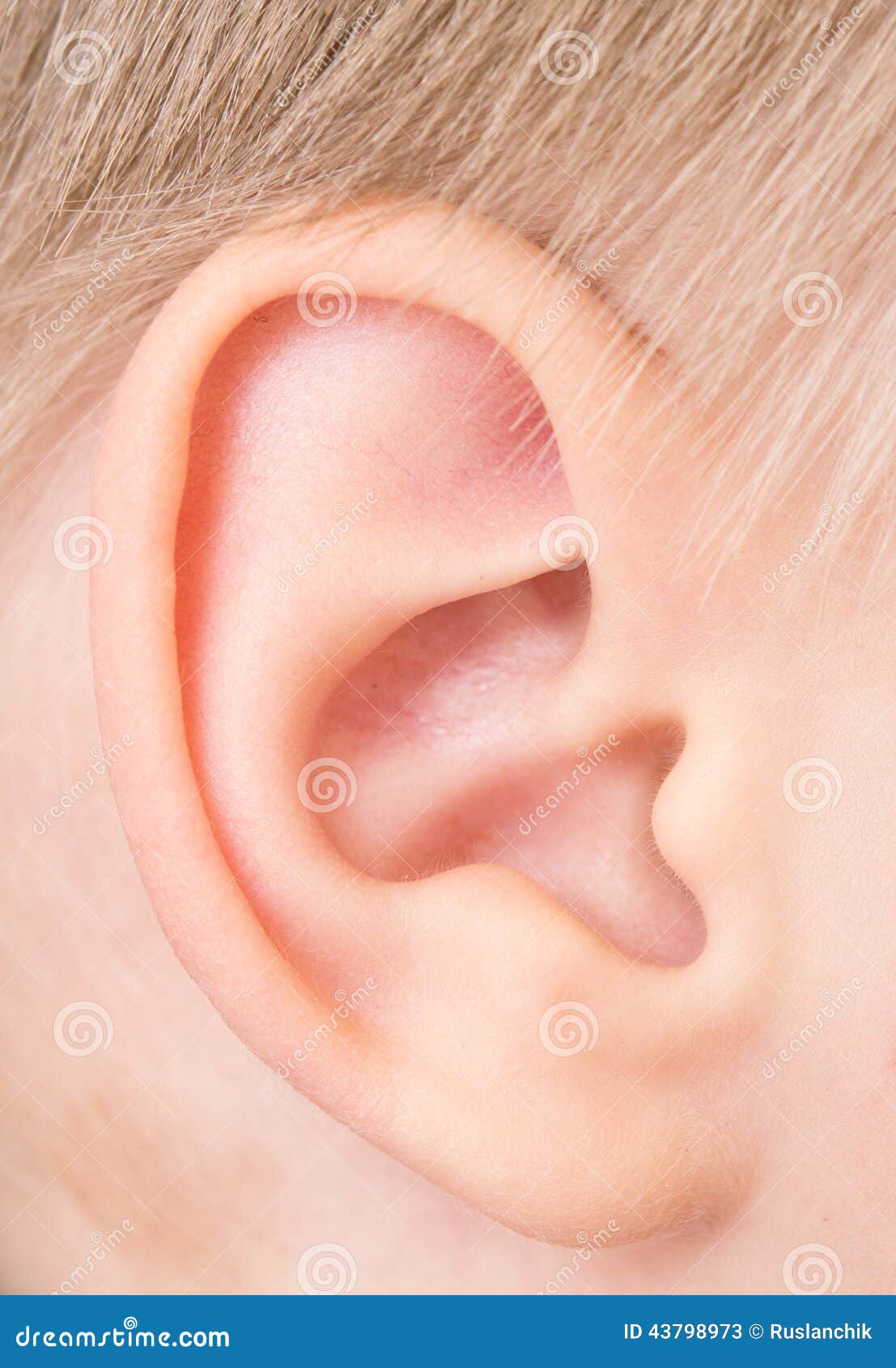 Kinderohr stockbild. Bild von sensorisch, gesund, hilfsmittel - 43798973