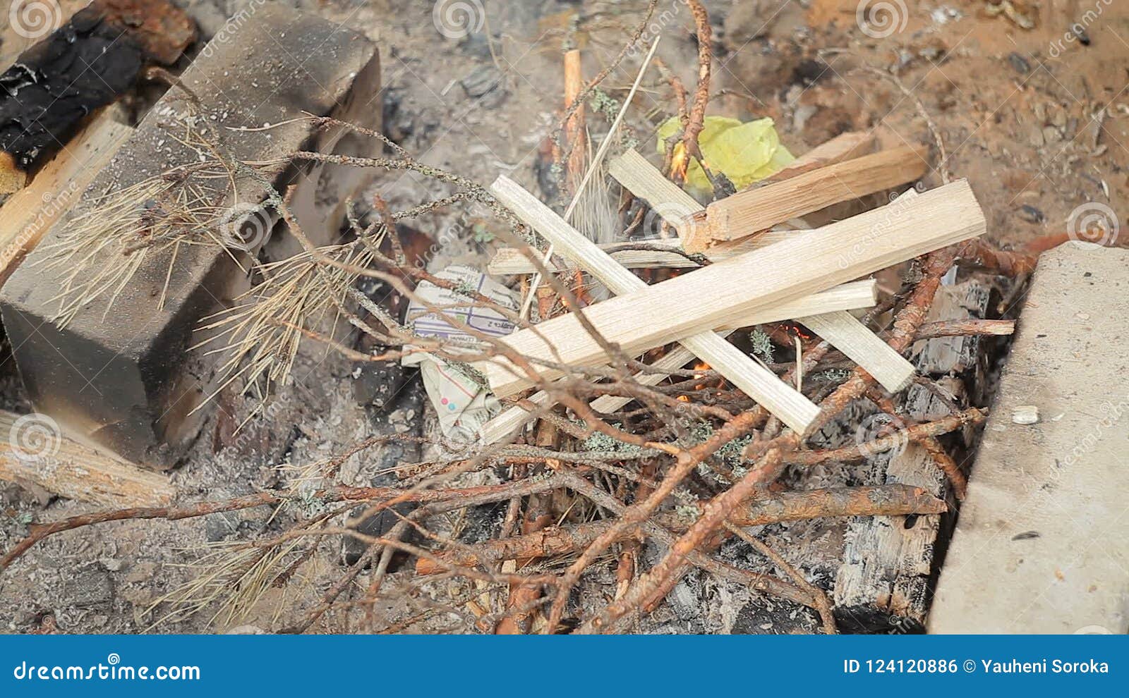 Kindling of Fire from Branches and Leaves in a Dry Forest Stock Footage ...