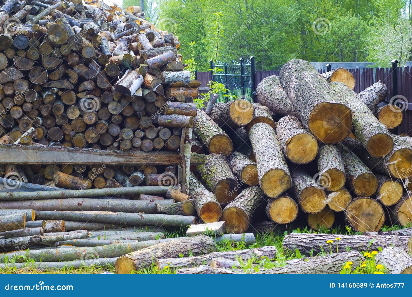 Kindling wood stock image. Image of firewood, lumber - 14160689