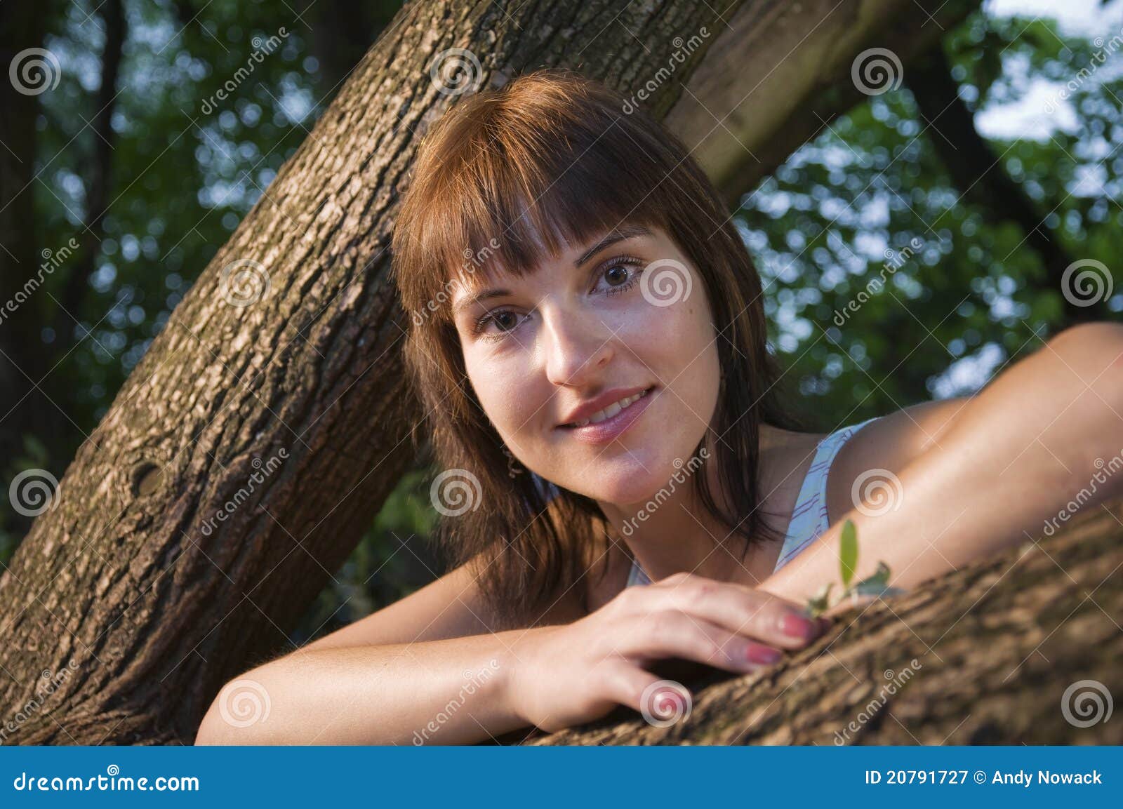 Kindly look on the trunk stock image. Image of caucasian - 20791727