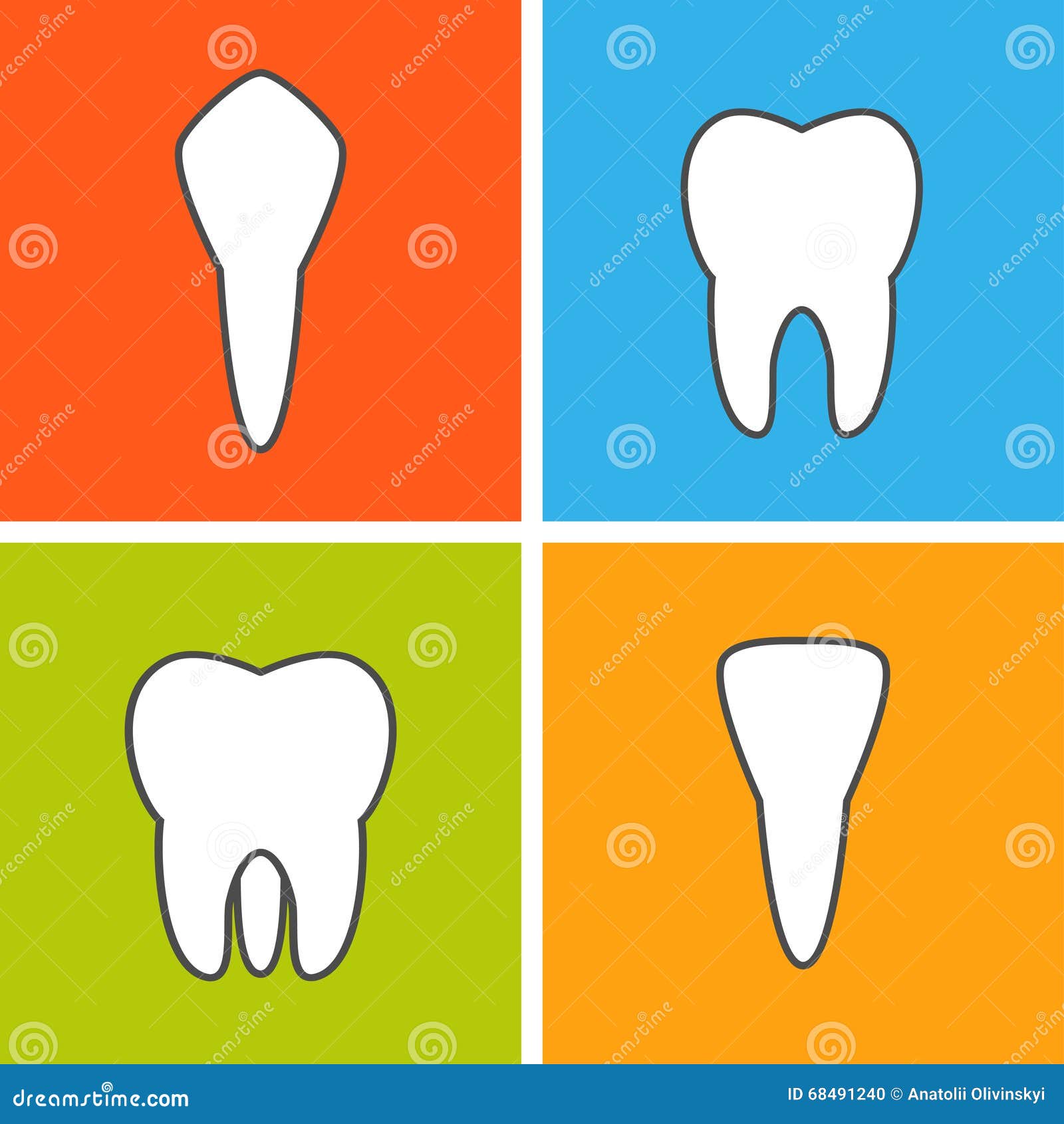 Kinds of tooth. stock illustration. Illustration of anatomy - 68491240