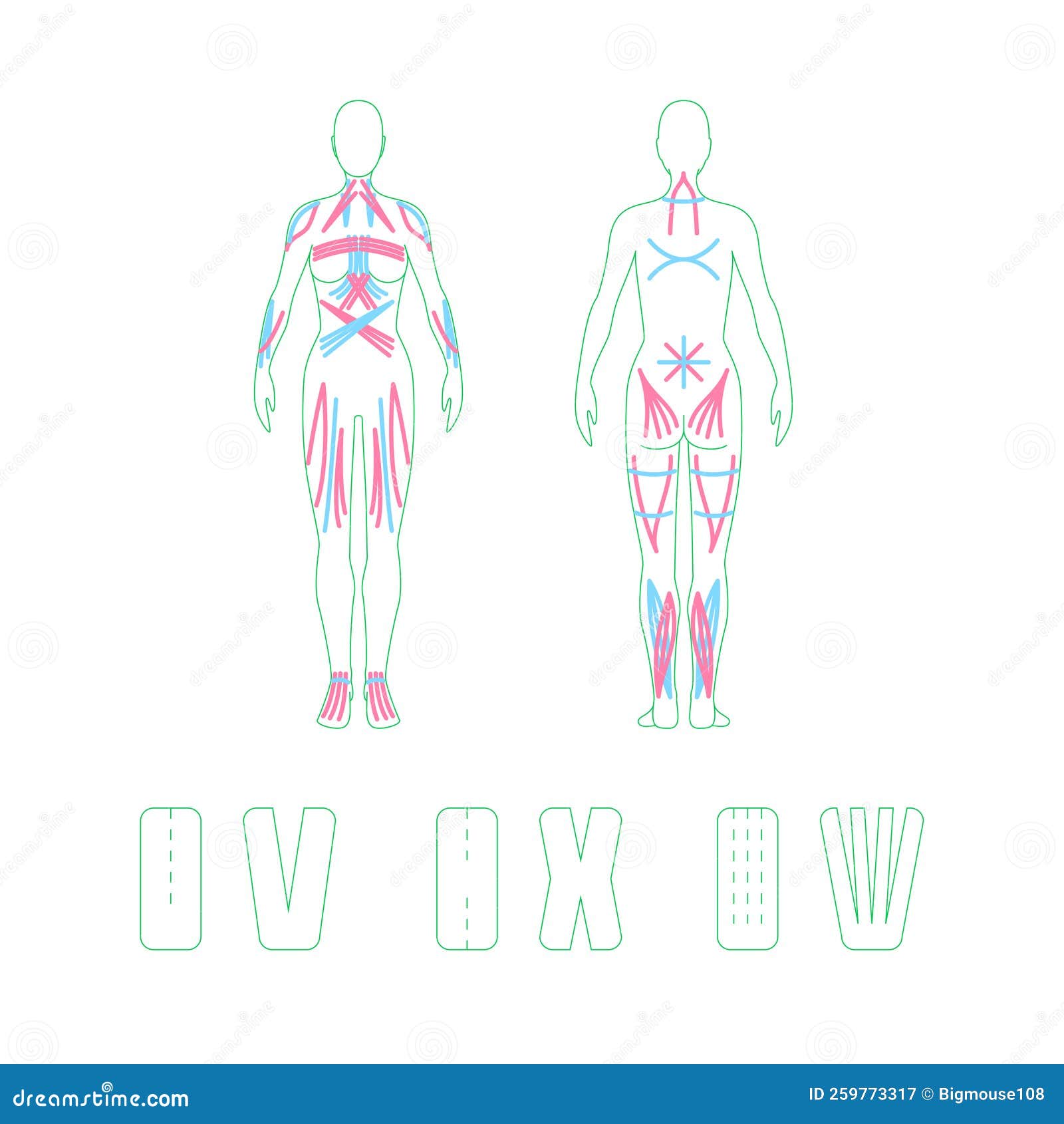 Kinesio Taping Concept Color Thin Line Element Set. Vector Stock Vector ... Kinesio Taping Concept Color Thin Line Element Set. Vector Stock Vector ...