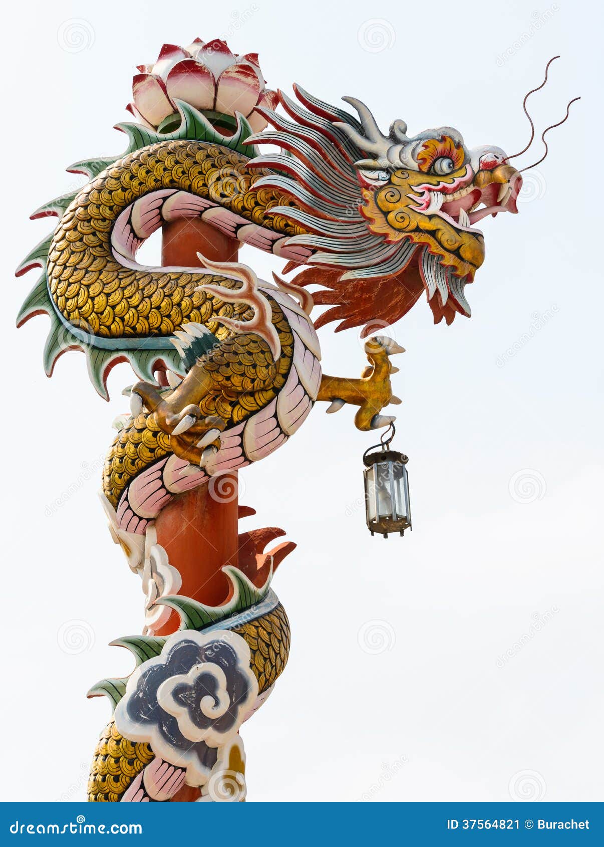 Kinesisk drake fotografering för bildbyråer. Bild av färgrikt - 37564821